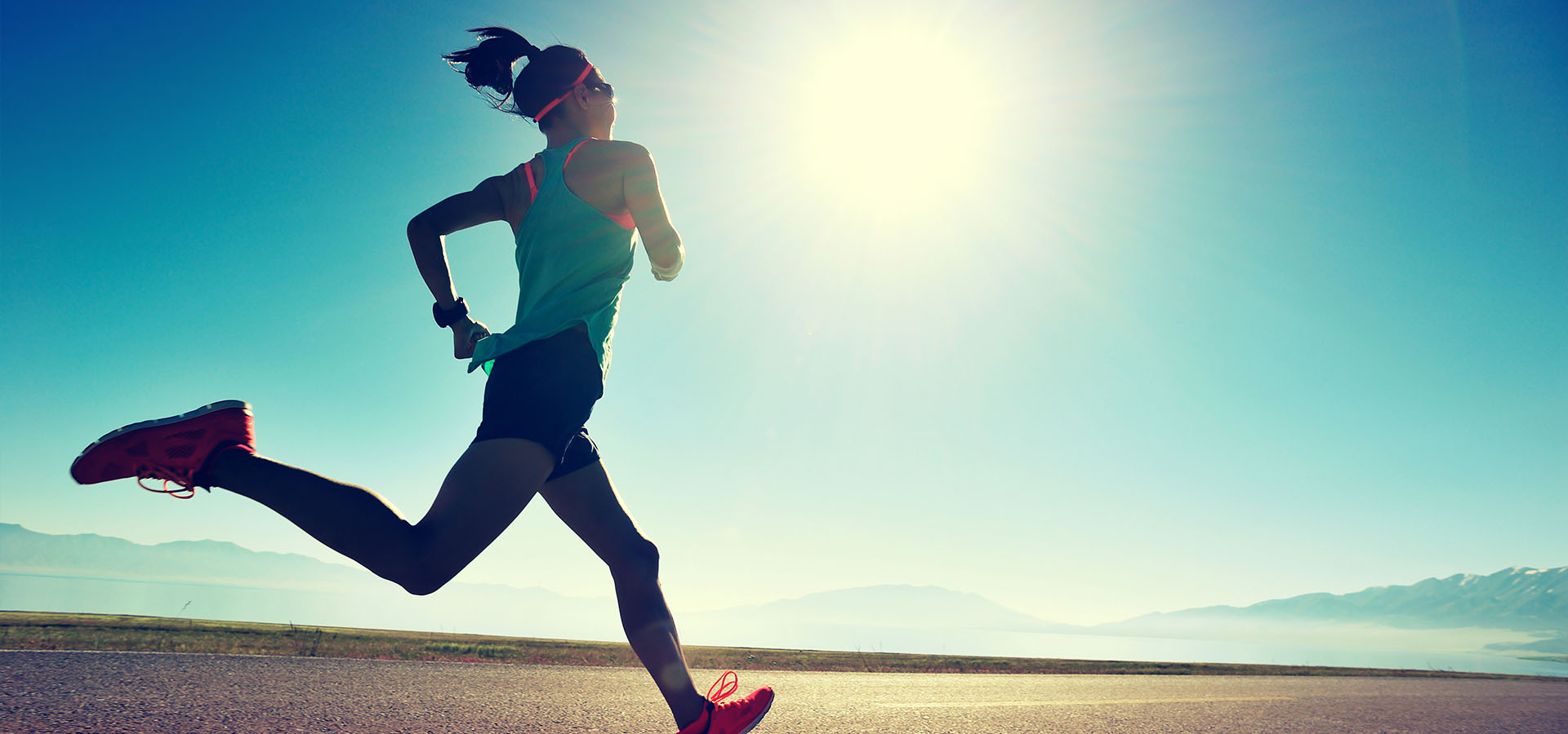 Sitemap för Nordicfighter.com