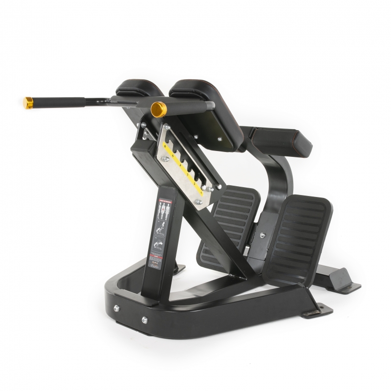 TF Exclusive - BACK EXTENSION